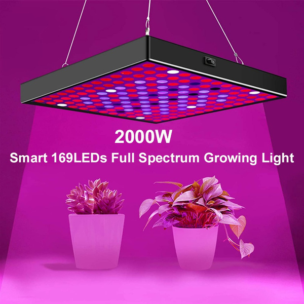 2000W 169LEDs Full Spectrum Growing Light No Noise Hanging Growth Light ...