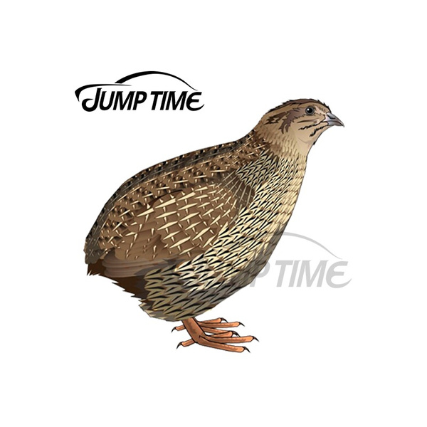 Jumptime For Coturni Quail Funny Car Stickers And Decals Occlusion ...