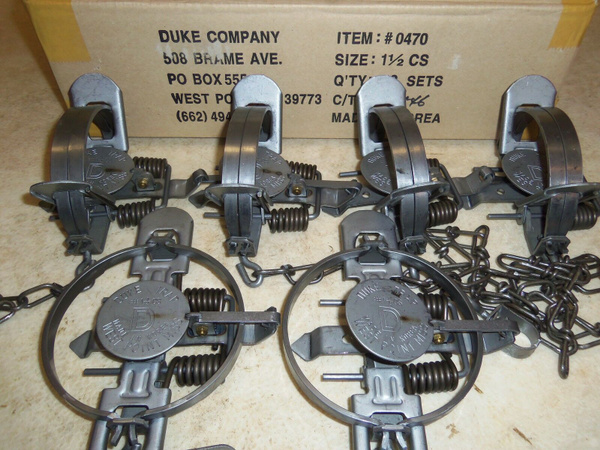 6 New Duke # 1 1/2 Coil Spring Traps 0470 Raccoon Fox Nutria Trapping ...