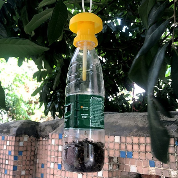 2Pcs Fruit Fly Trap Killer Plastic Trap Catcher Insect Control Farm ...