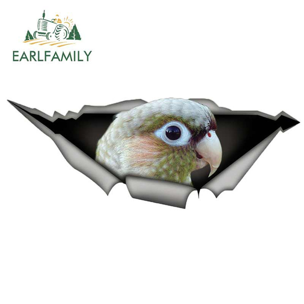 13cm x 5.1cm Green-cheek Cinnamon Conure Car Sticker Torn Metal Decal ...