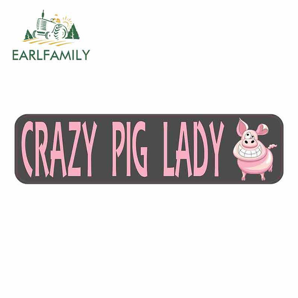15cm x 3.9cm for Crazy Pig Lady Sign Car Stickers Vinyl JDM Bumper ...