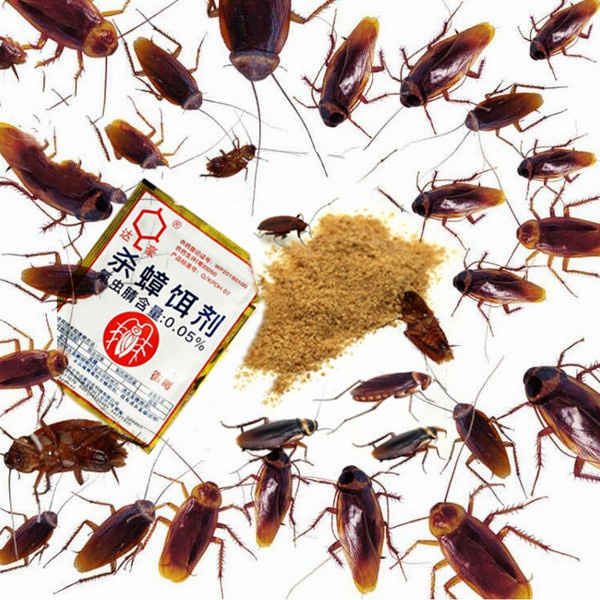 30pcs Powerful Effective Cockroach Killing Bait Pesticide Powder ...