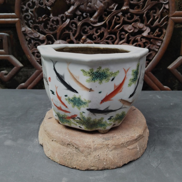 Chinese Flower Pots in Ancient Porcelain, Plants, Red Fish, Photo | Wish