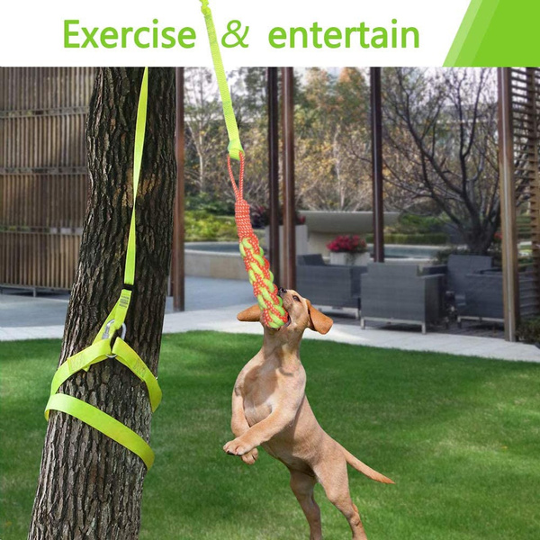 New Interactive Outdoor Dog Bungee Rope Toys for Small Medium Large ...