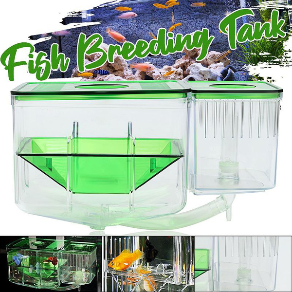 Protection Safe Spawn Baby Fish Breeding Plastic Isolation Box Tank ...