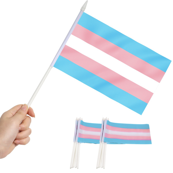 Anley Transgender Mini Flag 12 Pack - Hand Held Small Miniature Trans ...