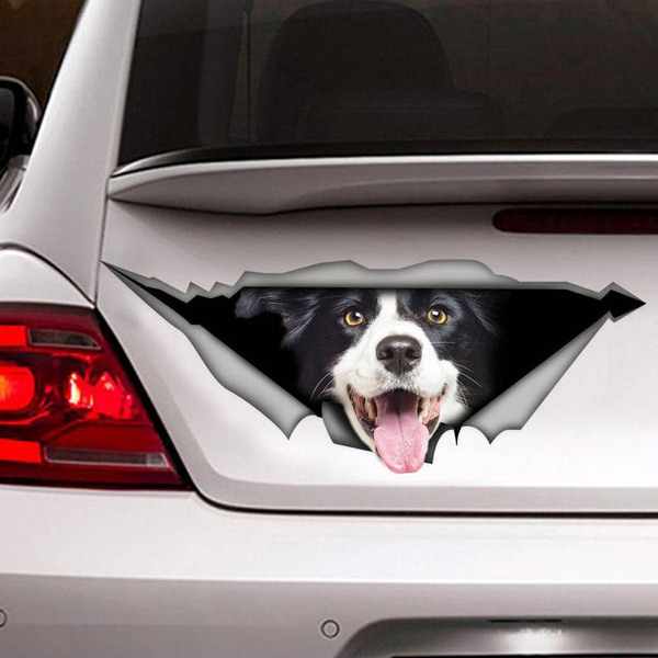 Border Collie sticker, car decal, Vinyl decal, Pet sticker, Dog decal ...