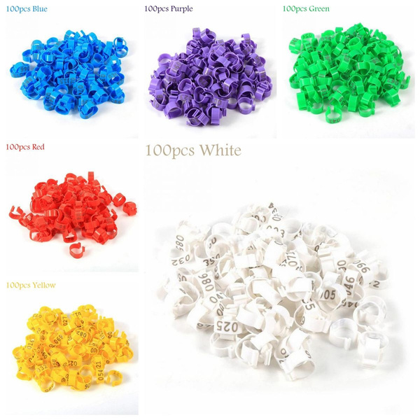 100pcs/Bag 6 Colors Chicken Poultry Ducks Plastic Leg Bands Rings Farm ...