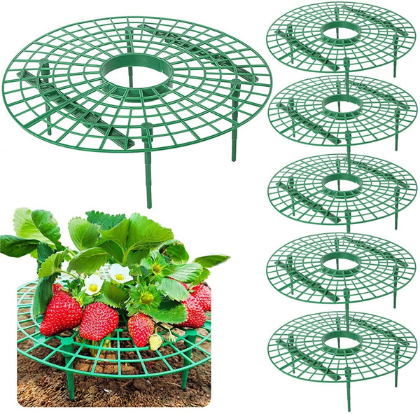 6 Pack Strawberry Supports, Adjustable Strawberry Growing Racks Plant ...