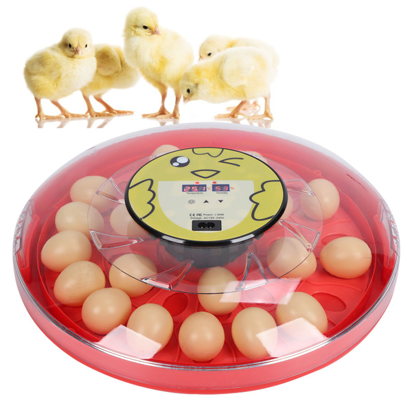 30 Eggs Automatic Egg Incubator Hatcher Machine Temperature Automatic ...