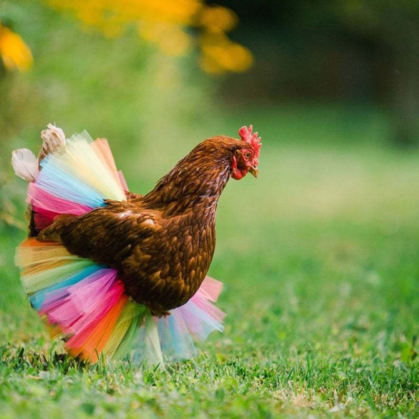 Chicken Costume Skirt Tutu Coop Hen Decorations Halloween Cosplay Dress ...