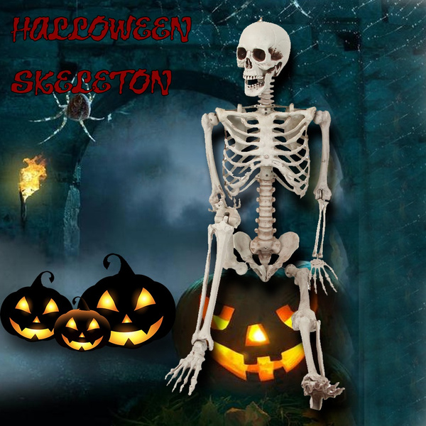 Halloween Skeleton Life Size 165cm Skeleton Full Body Realistic Human ...