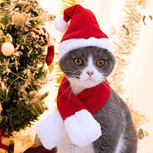 Pet Santa Claus Hat with Scarf-Christmas Costume Set Puppy Cat Santa ...