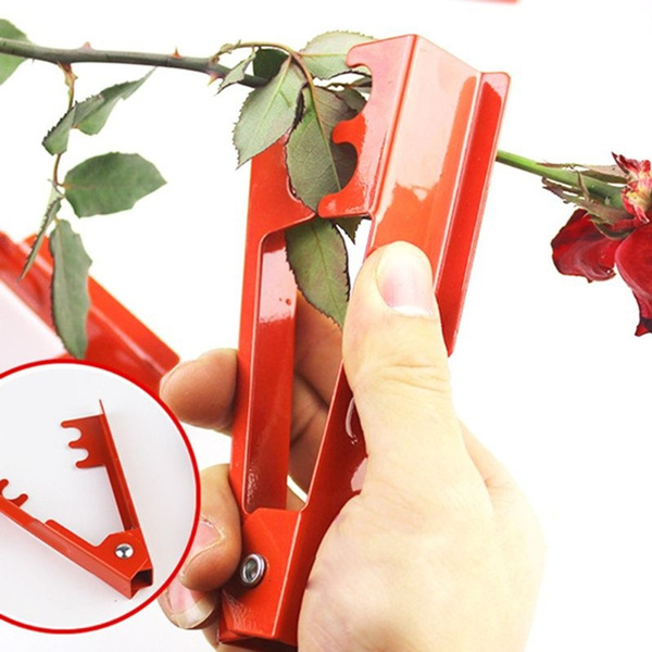 Rose Flower Thorn Stripper Thorner Stem Leaves Florist Tool Deburring ...