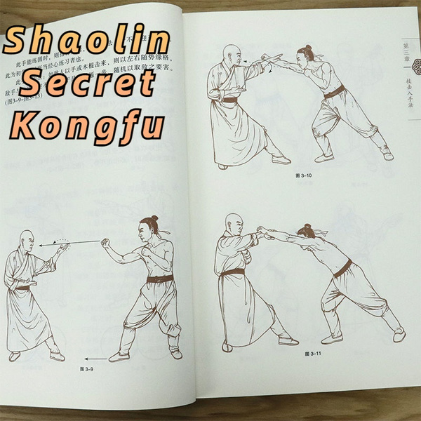 Book Shaolin Kongfu Fight Martial arts illustrated series secrets of ...