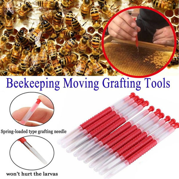 Plastic Beekeeping Bee Queen Retractable Grafting Equipment Larva ...