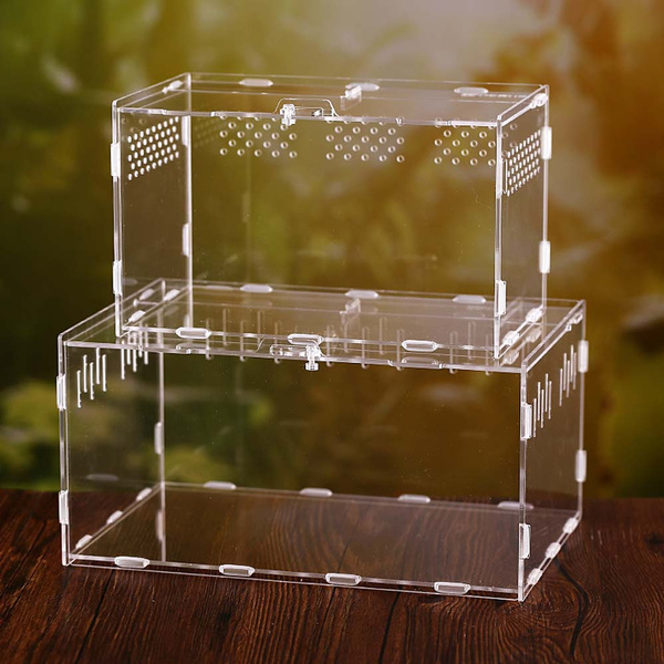Spider Transparent Frogs Insect Feeding Box Container Snakes Insect ...