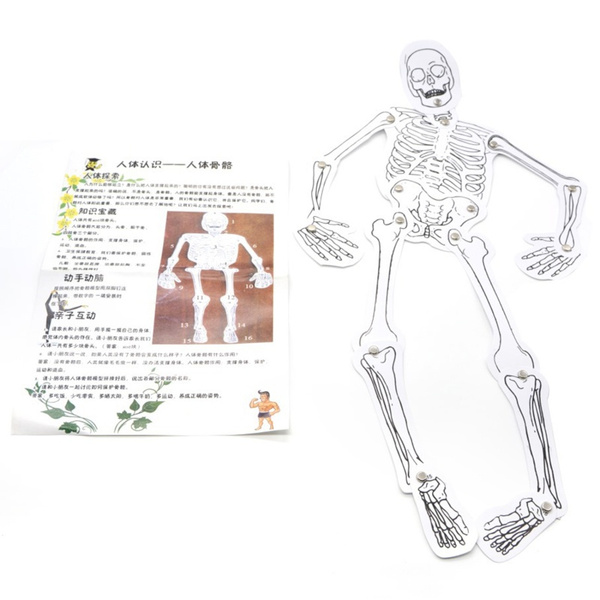 Small Children's Educational Toys Scientific Experiment Technology ...