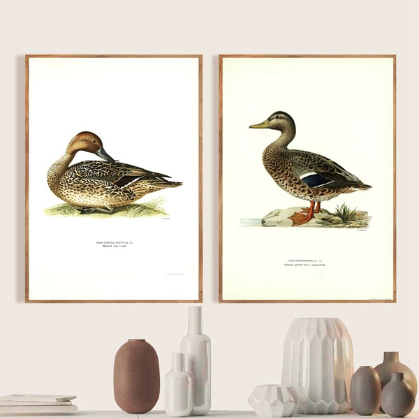 Mallard Duck Vintage Birds Prints Farmhouse Wall Art Canvas Painting ...