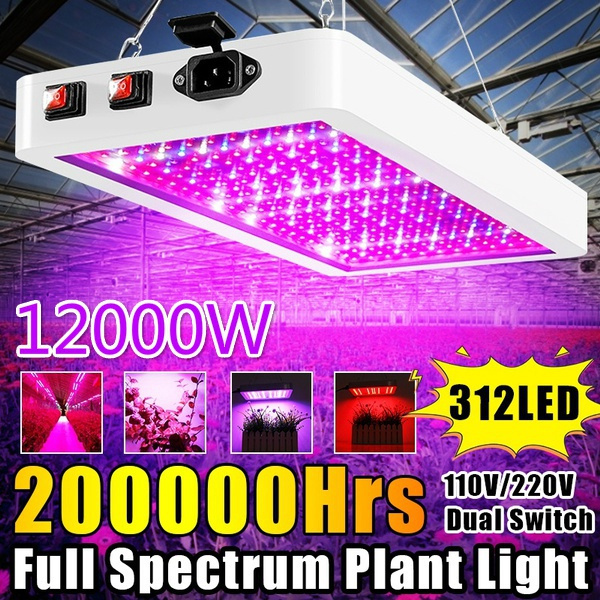 500/8000W/12000W Dual Switch LEDs 80000 Hour Led Grow Light Full ...