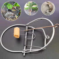1PCS Big Mouse Trap Metal Spring Rodent Catching Trap | Wish