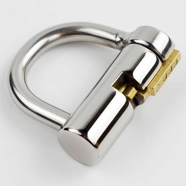 Steel Pa Lock Prince Albert Piercing Men Stainless Steel Chas-tity Cage ...