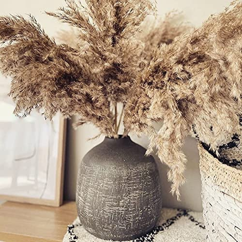 Dried Pompas Floral Decor Fluffy Pampas Grass 30/50 Stems Small Pompous ...