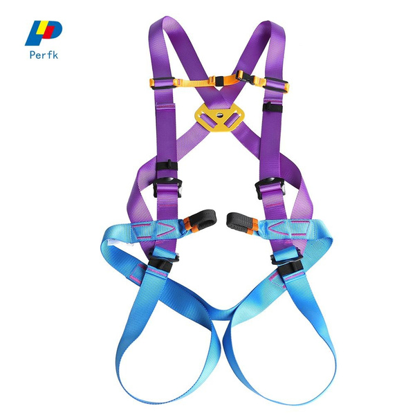 Fall Arrest Protection Full Body Rock Climbing Rappelling Safety ...