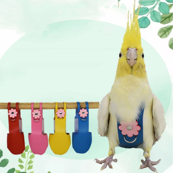 Bird Parrot Velvet Leather Diaper with Leash Harness Rope Cockatiel ...