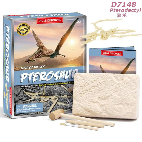 Crocodile Dinosaur Fossil Dig Kit, Dig Up Real Fossils Skeleton, Great ...
