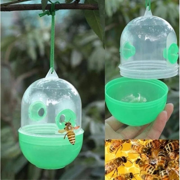 Transparent Bee Insects Flies Bugs Hornet Trap Catcher Bee Trap Hanging ...