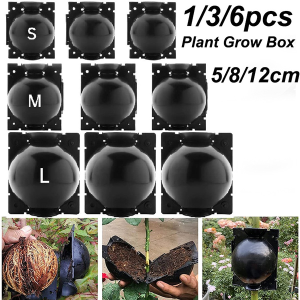 1/3/6pcs Plant Rooting Grow Box Plant Propagation Grafting Box Plant ...