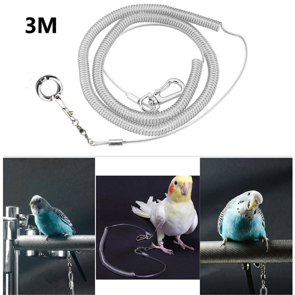 Anti-bite Leg Ring Harness Parrot Bird Flying Training Leash Ultra ...