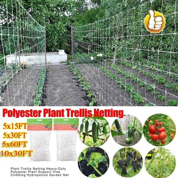 Trellis Net, Heavy-Duty Trellis Net Design for Climbing Fruits and ...