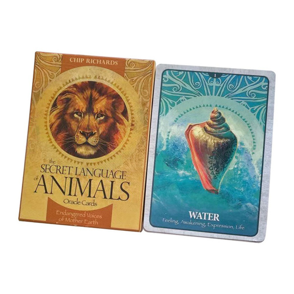Cardbox Best Angel Gift Powwow Divination Secret Language Of Animals ...
