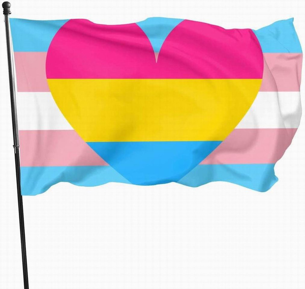 Transgender Trans and Pan Pansexual Pride Flag Heart Themed Welcome ...