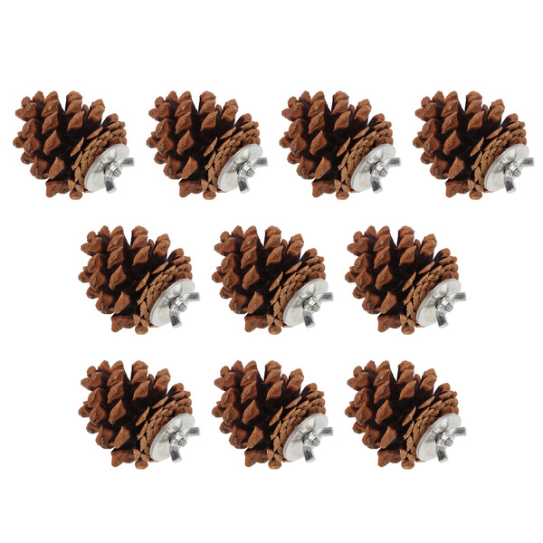 10pcs Bird Bite Pine Cones Natural Pine Cone Chewing Bird Toy for ...