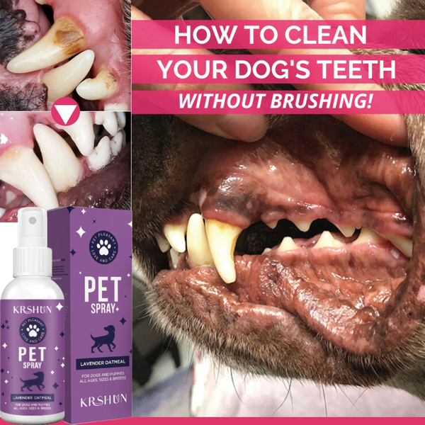 2022 New Teeth & Gum Spray for Dogs and Cats Vet Formulated Natural ...