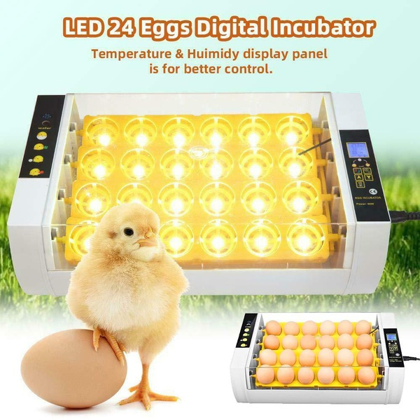 24 Eggs Incubator Temperature Control Digital Automatic Chicken Chick ...