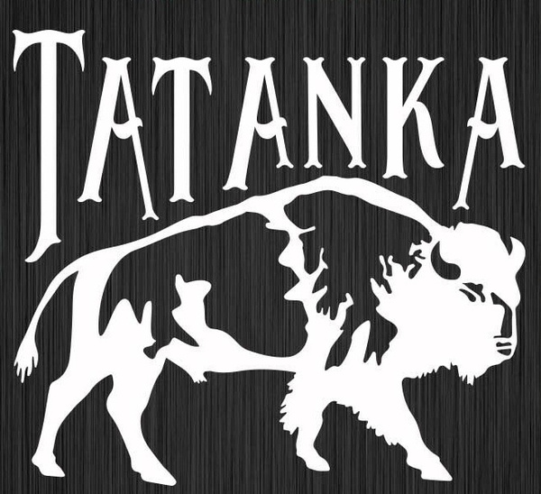 2pack, Native American Tatanka Bison Buffalo Decal Vinyl Stickers | Wish