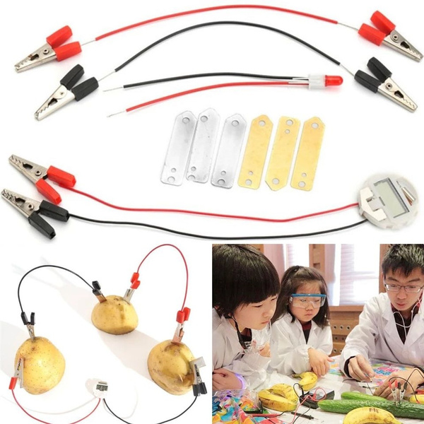 Potato Fruit Biologia Energy Generate Electricity Science Experiment ...