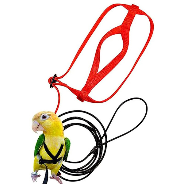 Anti-Bite Bird Harness Leash Set Parrot Harness Nylon Rope Adjustable ...
