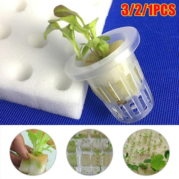 5/3/1PCS White Seedling Sponge Soilless Hydroponic Vegetables Nursery ...