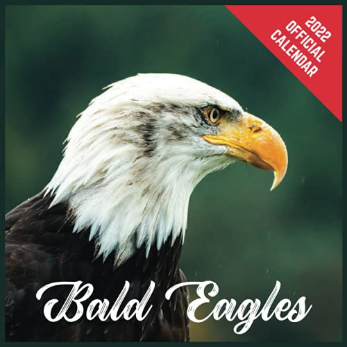 Calendar 2022 Bald Eagles: Bald Eagles Official 2022 Monthly Planner ...