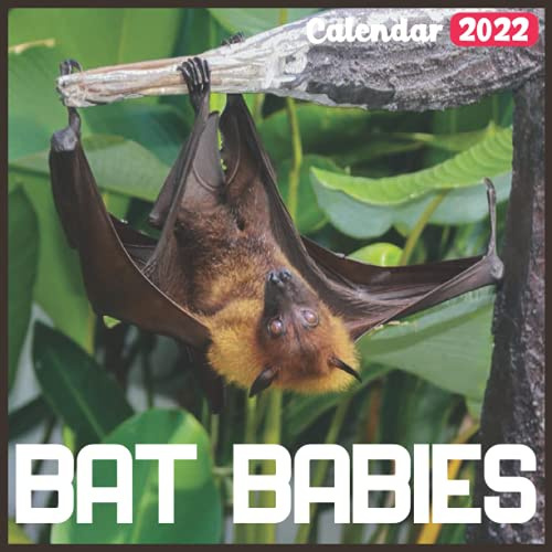 Bat Babies Calendar 2022: Official Baby Animals Calendar 2022, 18 Month ...