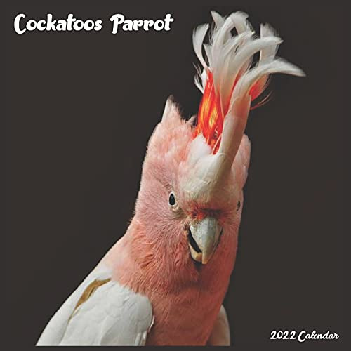 Cockatoos Parrot 2022 Calendar: Official Cockatoos Birds 2022 Calendar ...