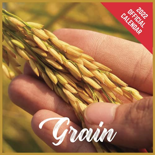 Calendar 2022 Grain: Grain Official 2022 Monthly Planner, Square ...