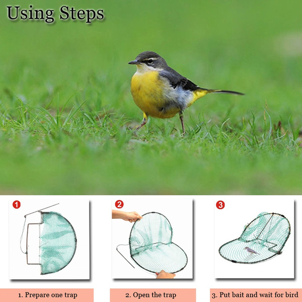 Newset Multiple Size Humane Effective Live Catch Bird Trap Netting ...