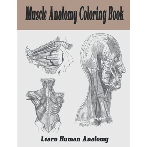 Muscle Anatomy Coloring Book: Learn Human Anatomy Muscles for All ...
